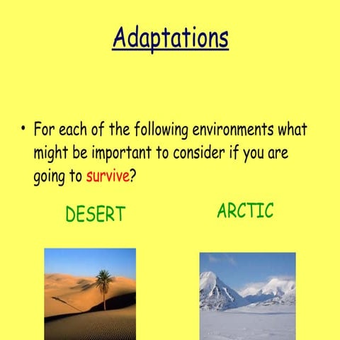 Adaptations of differnet animals in differnt habitats | PPTX