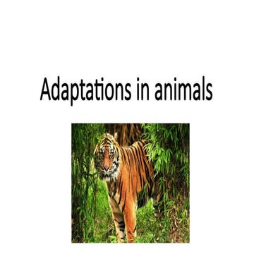 Adaptations in animals grade 4.pptx classification | PPTX