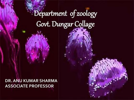 zonations of sea and ecological classification of marine biota | PPTX ...