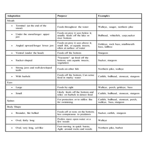 Adaptations in fishes | DOCX | Fish and Aquariums | Pets