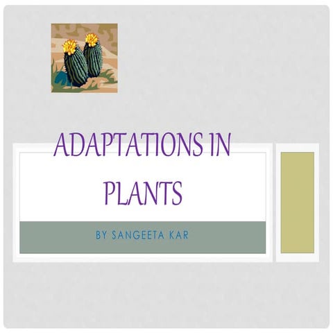 Adaptations in plants | PPT