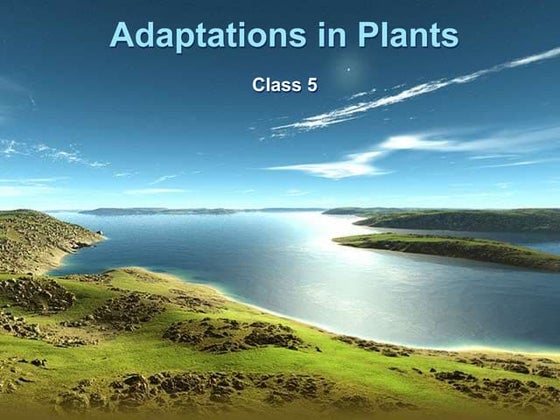 Class IV Science -Plants Adaptation | PPT