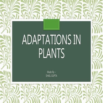 Adaptations in Plants | PPTX