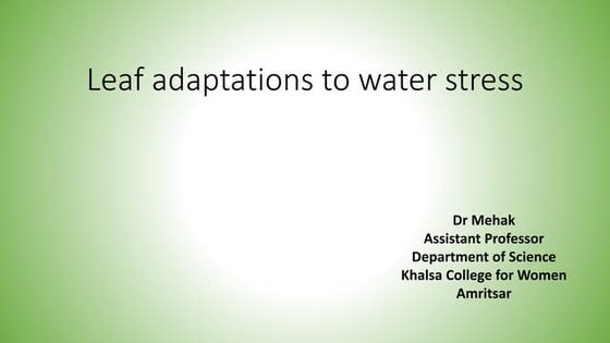 Adaptations presentation | PPT