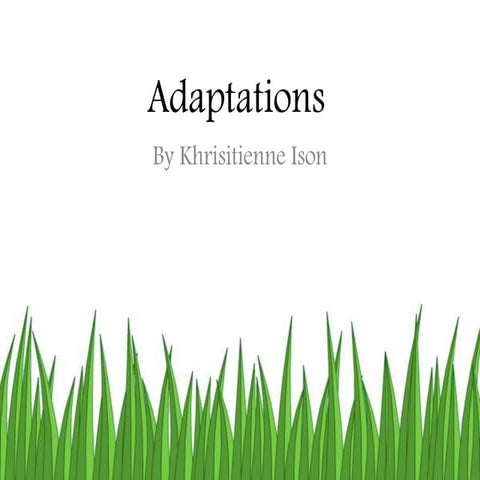 Adaptations powerpoint | PPTX