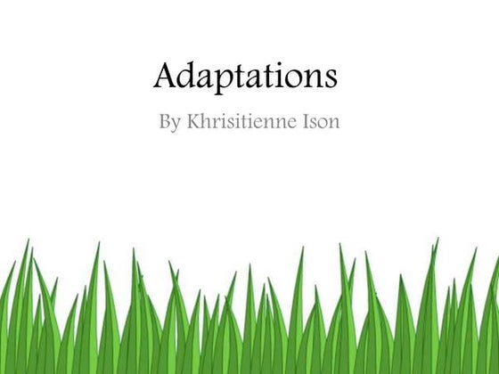 Plant Adaptations | PPT