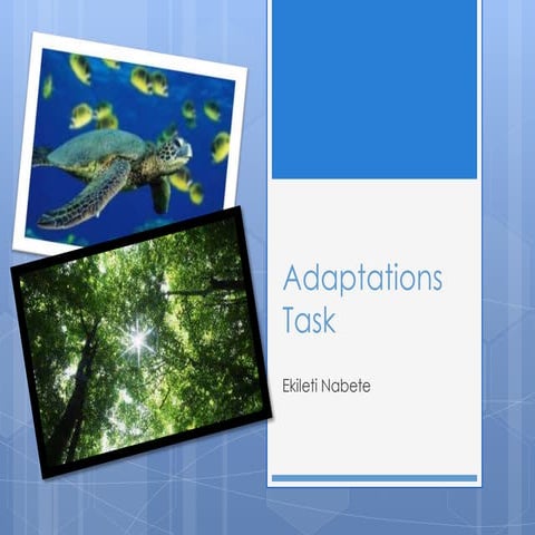 Adaptations task- Ekileti.N | PPT