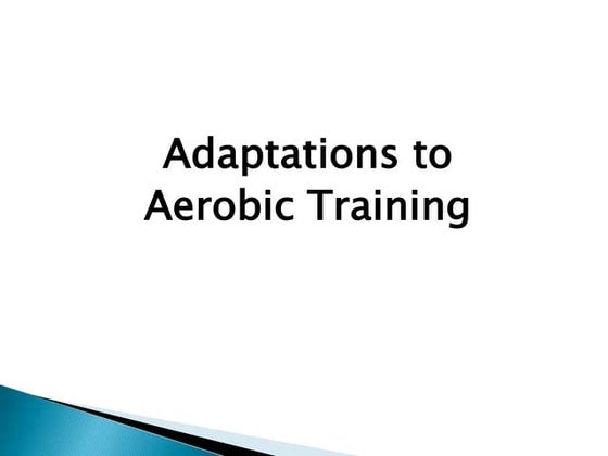 Cardiovascular adaptations to training | PPT