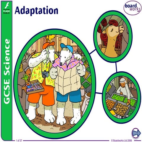 adaptation_v2.1.ppt adaptation methods in animals | PPT