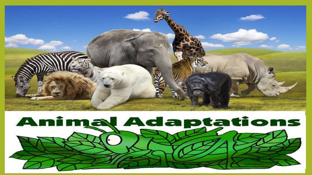 BODY STRUCTURES THAT HELP ANIMALS ADAPT AND SURVIVE .pptx