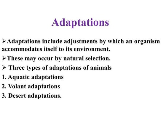 Adaptation | PPTX
