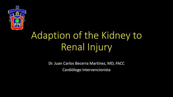Renal infarction morning report 2-10-2014 | PPT