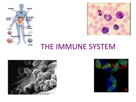 Lecture 1( Introduction to immunology).pptx