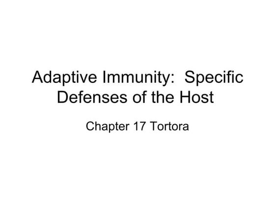 3. adaptive immunity_-1.pptx