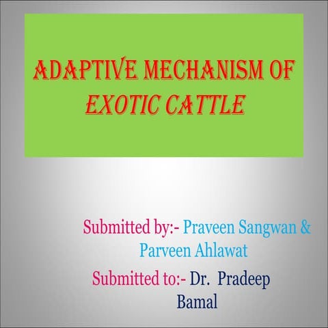 Adaptive mechanism of exotic cattle2 | PPT