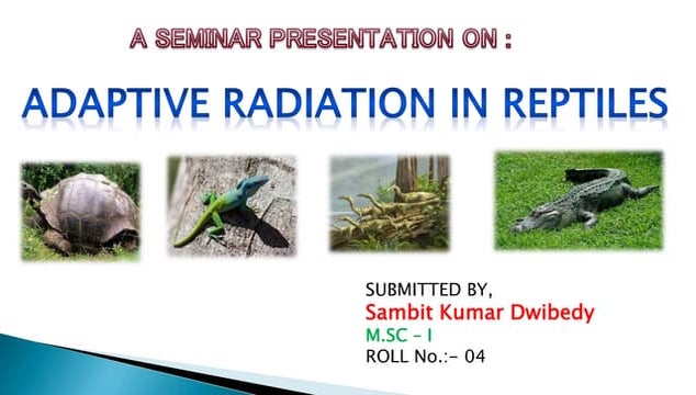 Adaptive Radiation Definition