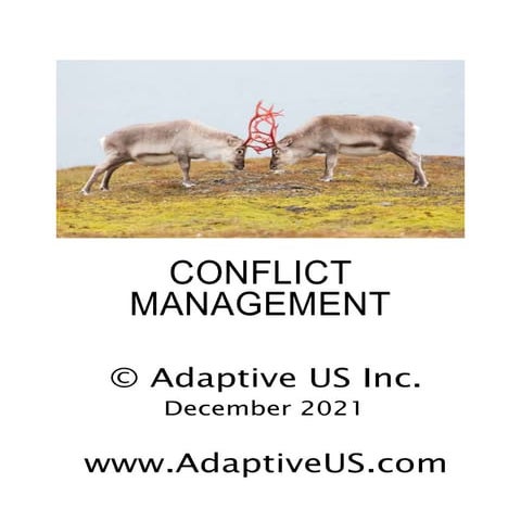 Adaptive us conflict management potrait | PPTX