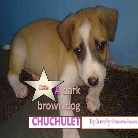 A dark brown dog long story | PPTX