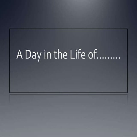 A day in the life | PPT