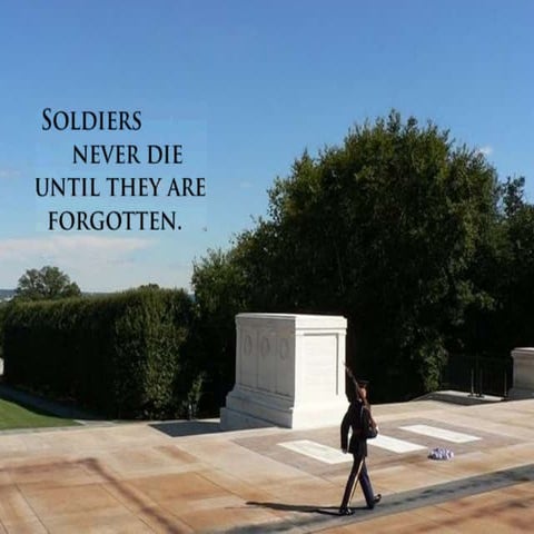 A Day to Honor the Unknown Soldier - Sentinel 2011 | PPT