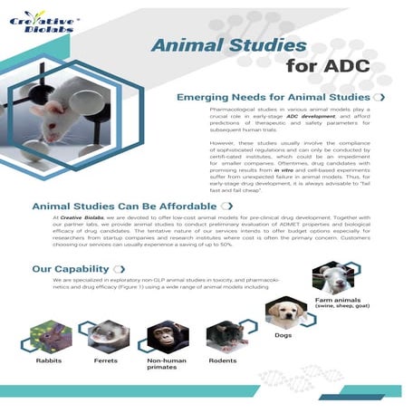 Adc animal study flyer | PDF
