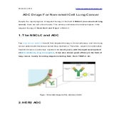 ADC Drugs For Non-small Cell Lung Cancer.pdf