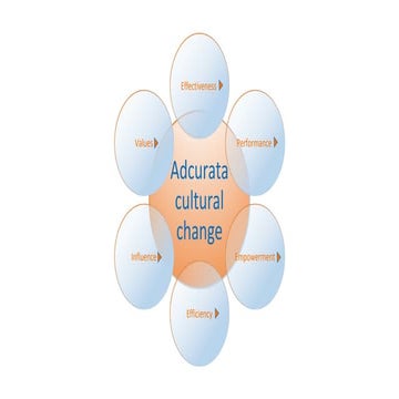 business diagnostic | PPT