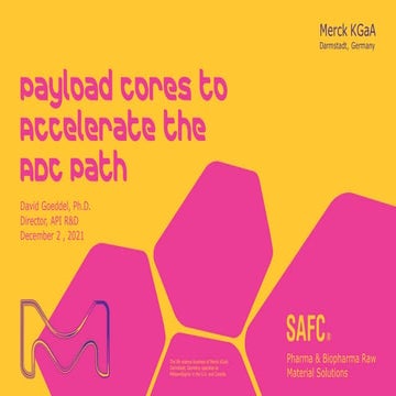 Payload Core Product Line Accelerates ADC Clinical Timelines | PDF