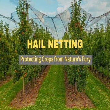 Hail Netting:Protecting Crops from Nature's Fury | PPTX