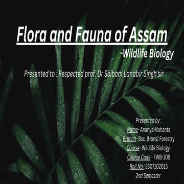 Flora and Fauna of Assam Wildlife biology | PDF