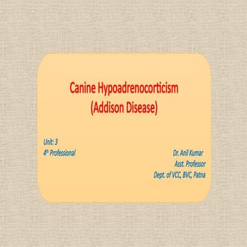 ADDISON disease in disease dog and cat , treatment | PPTX
