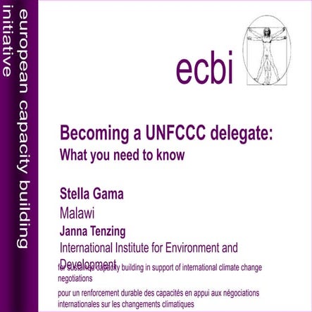 Addis presentation ecbi Stella Gama_0.pptx