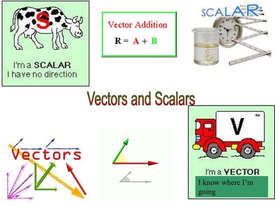 VECTOR ADDITION USING LAWS OF SINE AND COSINE | PPTX | Physics | Science