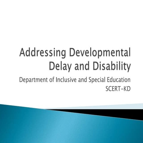 Addressing_Developmental_Delay_and_Disability[1].pptx