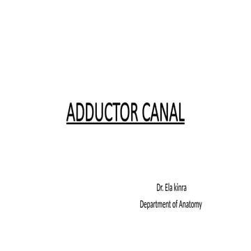 Anatomy of Adductor Canal presentation by Dr ela kinra | PPTX