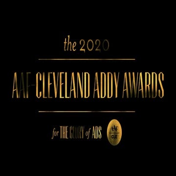 2020 AAFCLE ADDY Award Winners | PDF