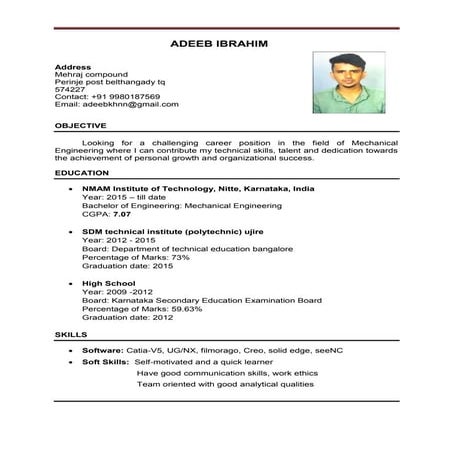 Adeeb resume | PDF