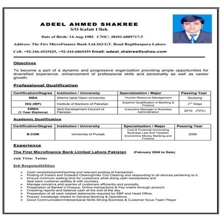 Cv Adeel Shakree | PDF