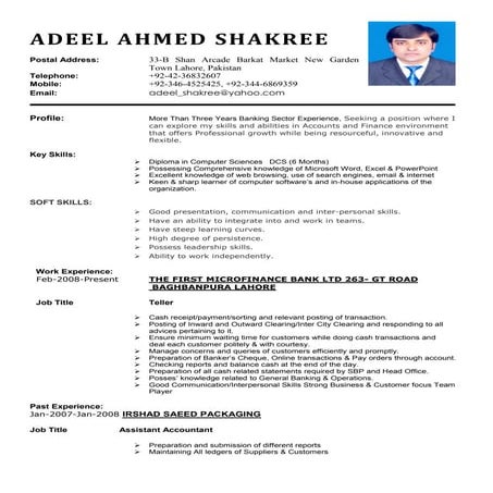 Cv Adeel Shakree | PDF