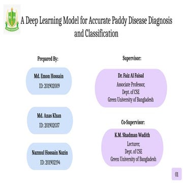 A Deep Learning Model for Accurate Paddy Disease Diagnosis and ...
