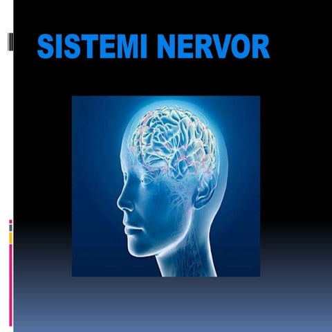 SISTEMI NERVOR | PPT