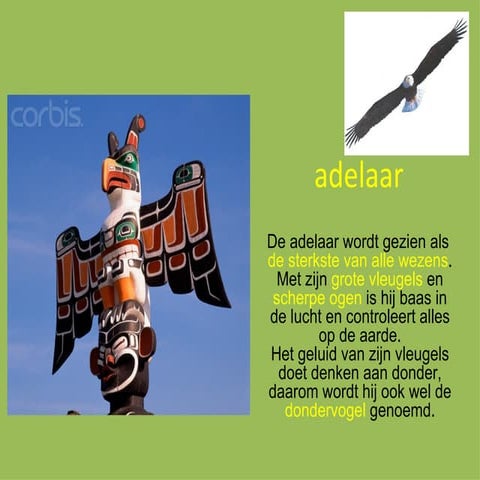 Frederick de veldmuis | PPT