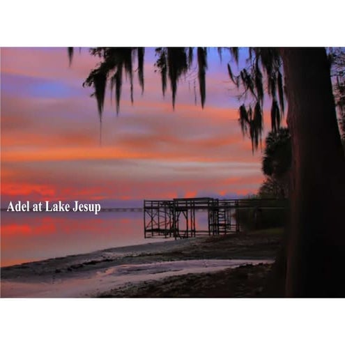 Adel_at_Lake_Jesup_Subdivision.pdf