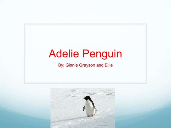 Lesson 21 Penguin Chick | PPT