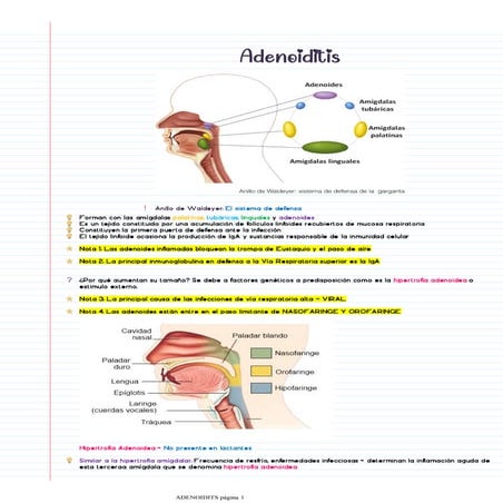 ADENOIDITIS (1).pdf
