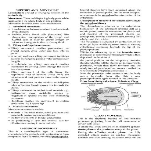 SUPPORT AND LOCOMOTION NOTES FOR UACE.pdf