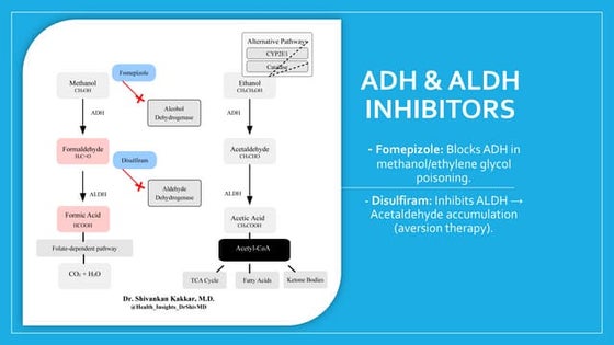 Understanding pA2 and pD2' Values: Calculation and Significance in ...