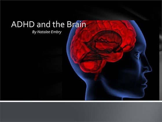 The adhd brain | PPTX | Brain and Nervous System Disorders | Diseases ...