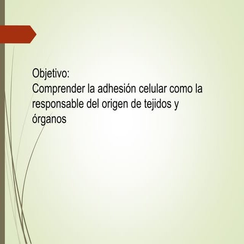 Adhesio n 2018 | PPT