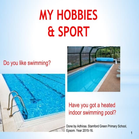 Sports and hobbies. | PPTX | Sports